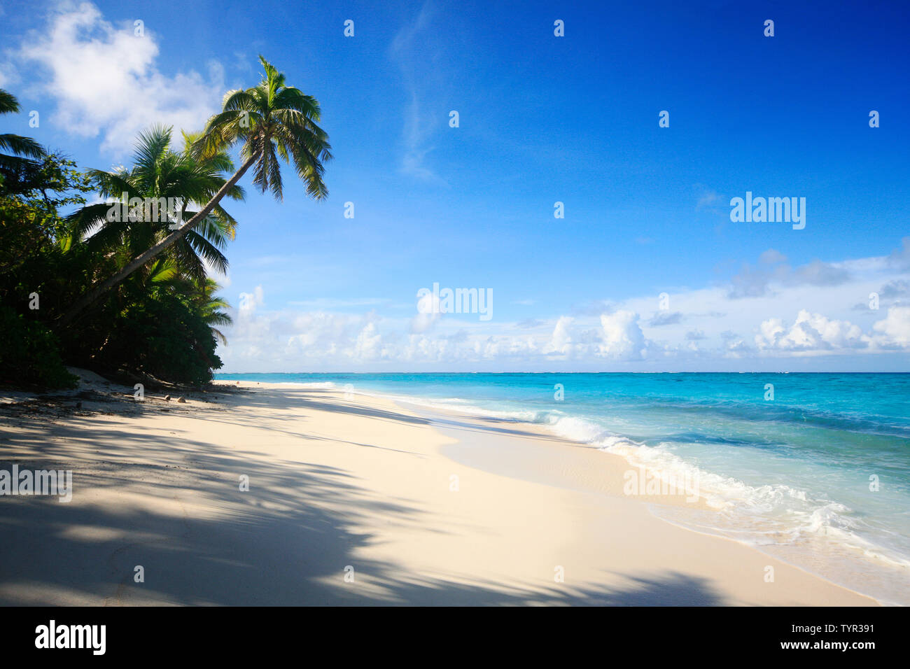 Tropical Island with a paradise beach and palm trees, Fiji Islands ...