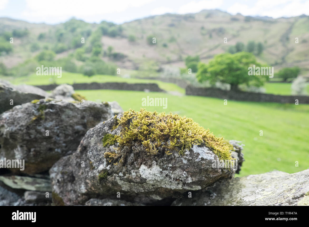 The Lake District National Park,The Lakes,Lake District,mountain ...