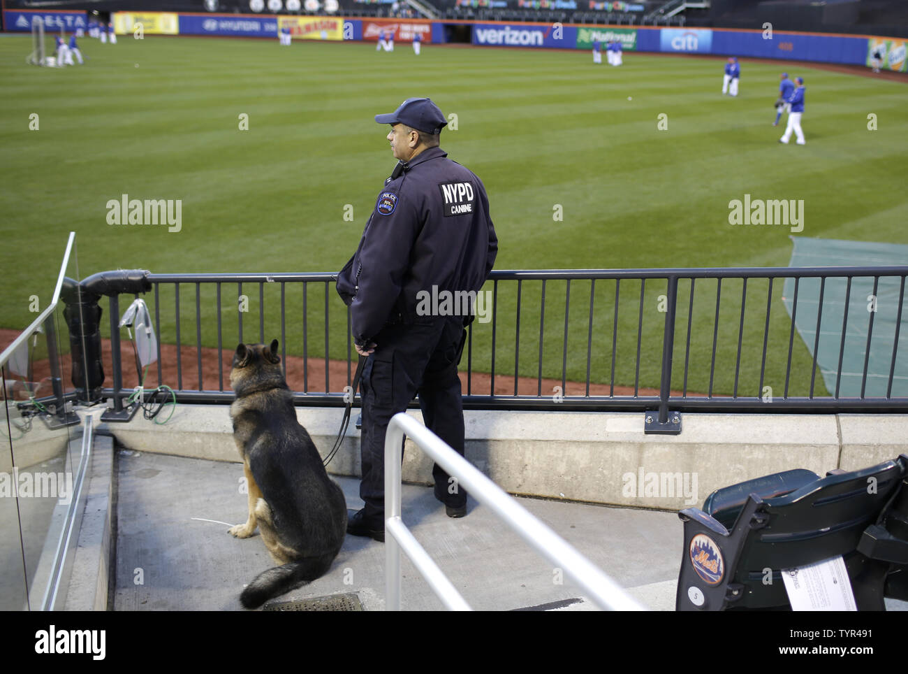 An NYPD Police Officer and a Police Dog watch batting practice from the ...