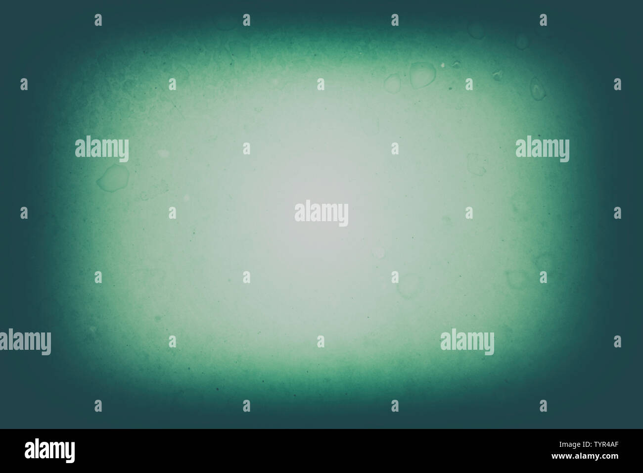 Abstract menthol green background. There is green and menthol green and ...