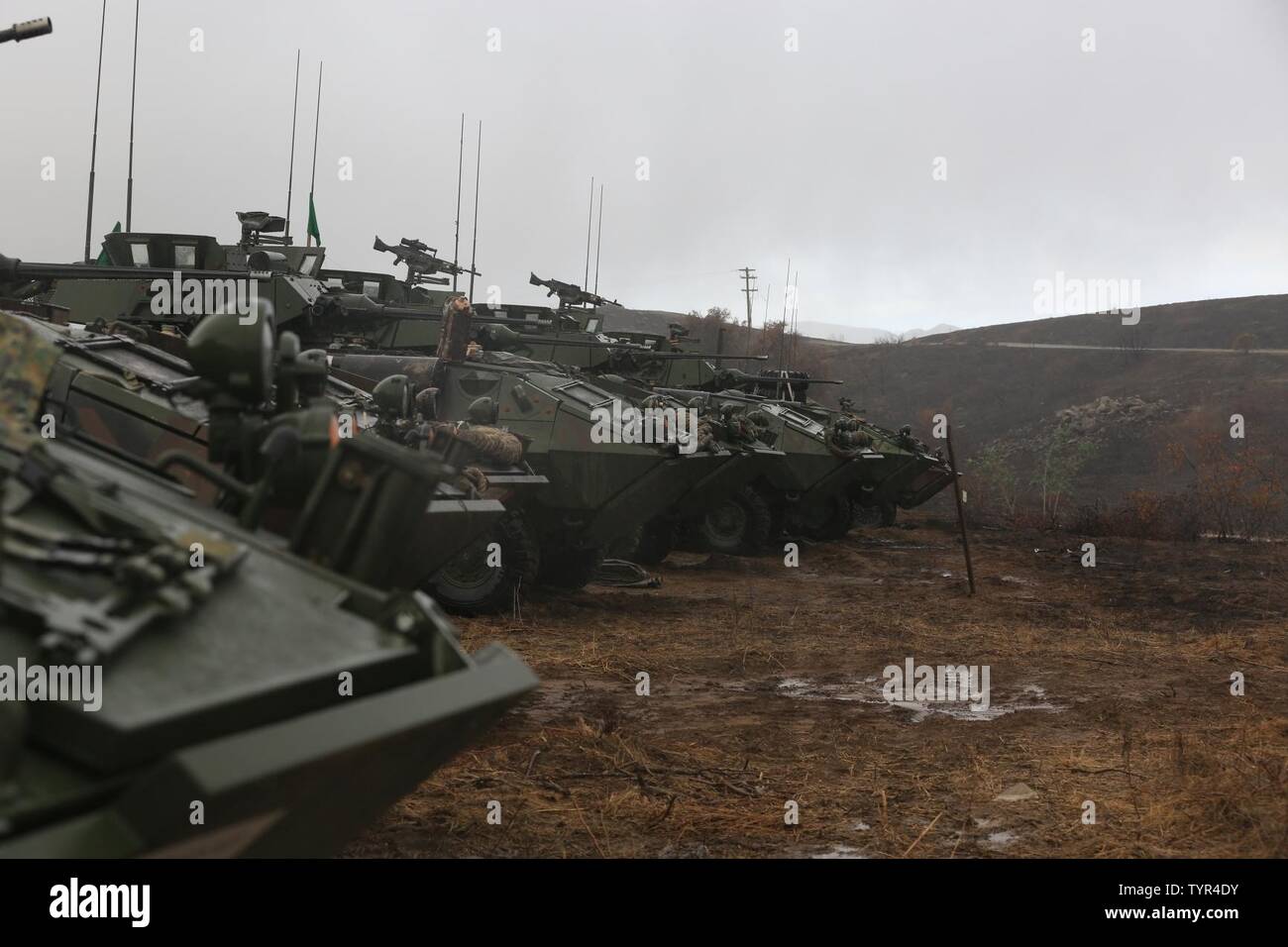 U.S. Marines with 1st Light Armored Reconnaissance Battalion, 1st ...