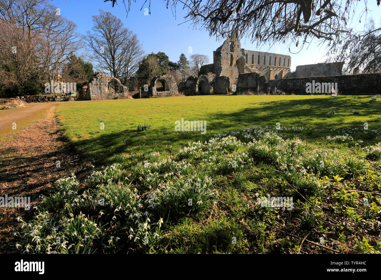 The ruins of Jervaulx Abbey, East Witton village, North Yorkshire ...