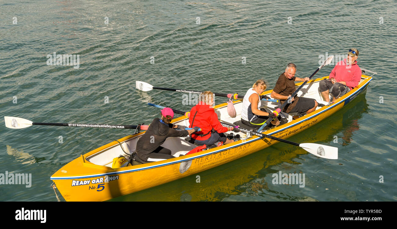 Welsh knot hi-res stock photography and images - Alamy