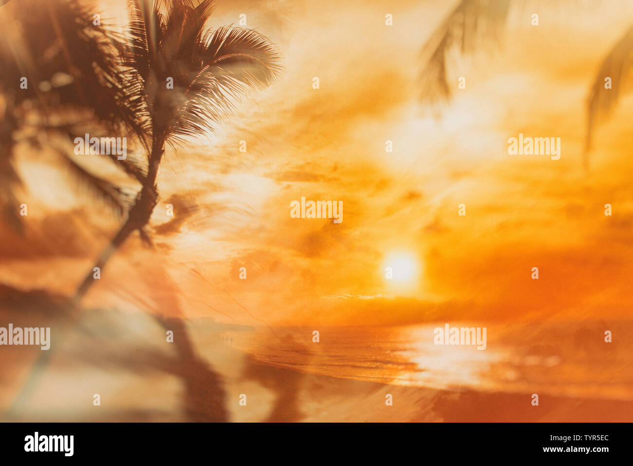 Retro style background on which there is sunset on the beach with palm ...