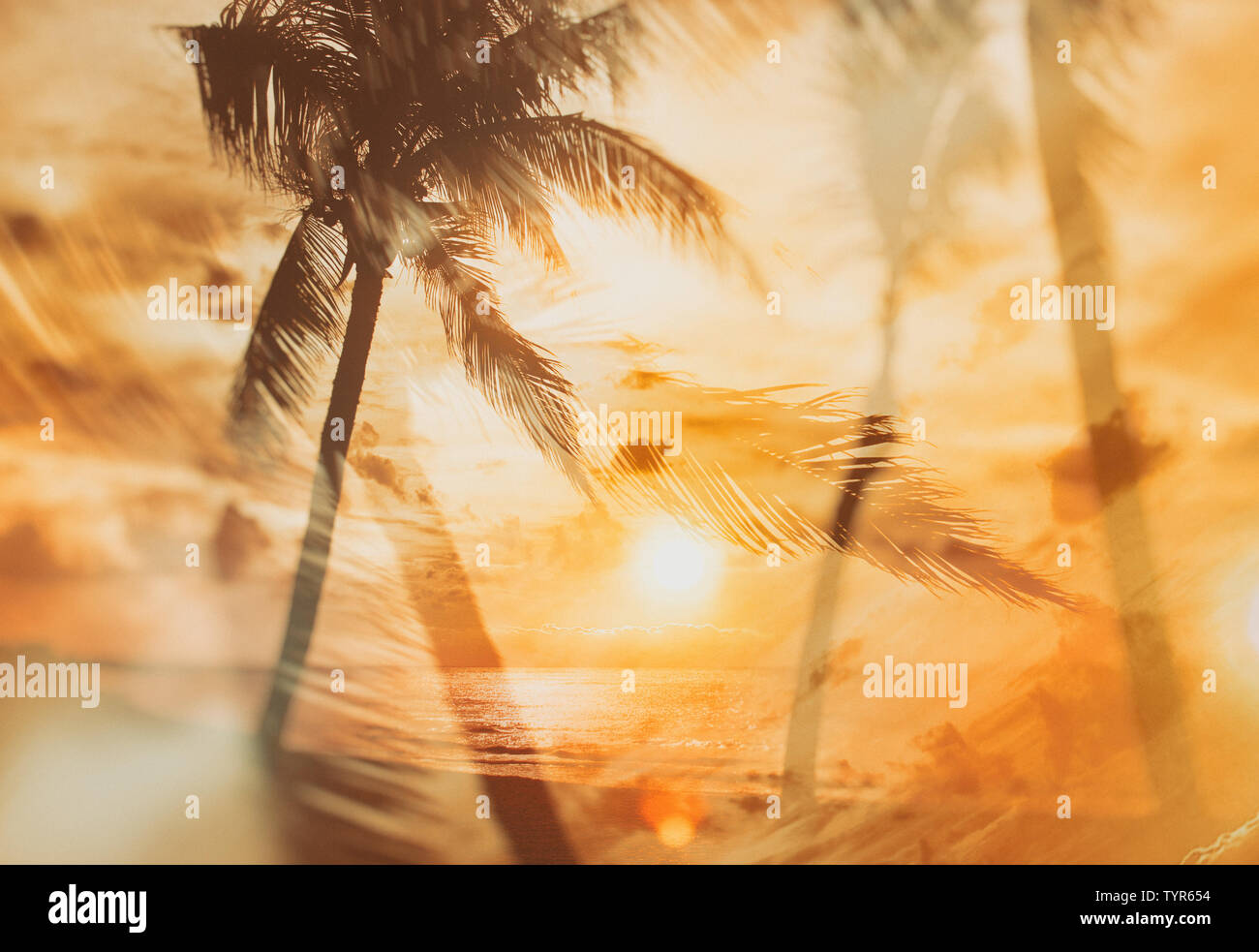 Retro style background on which there is sunset on the beach with palm ...