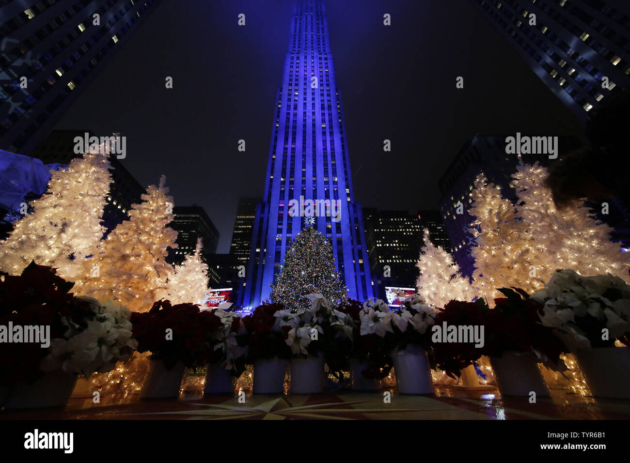 The 2015 Christmas Tree is lit for the first time of the season in ...
