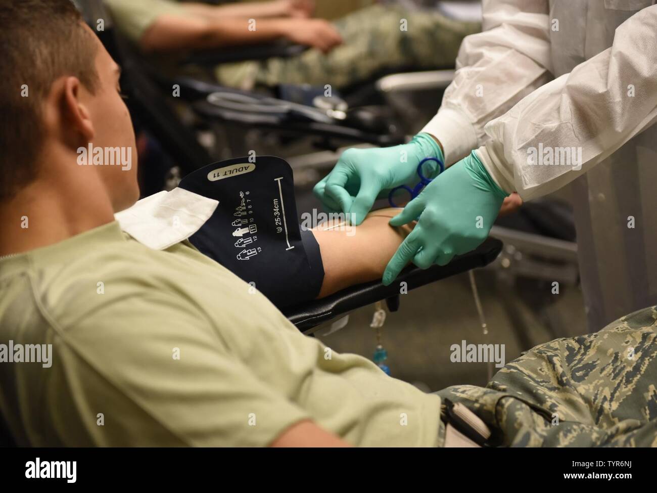 Blood collecting program hi-res stock photography and images - Alamy