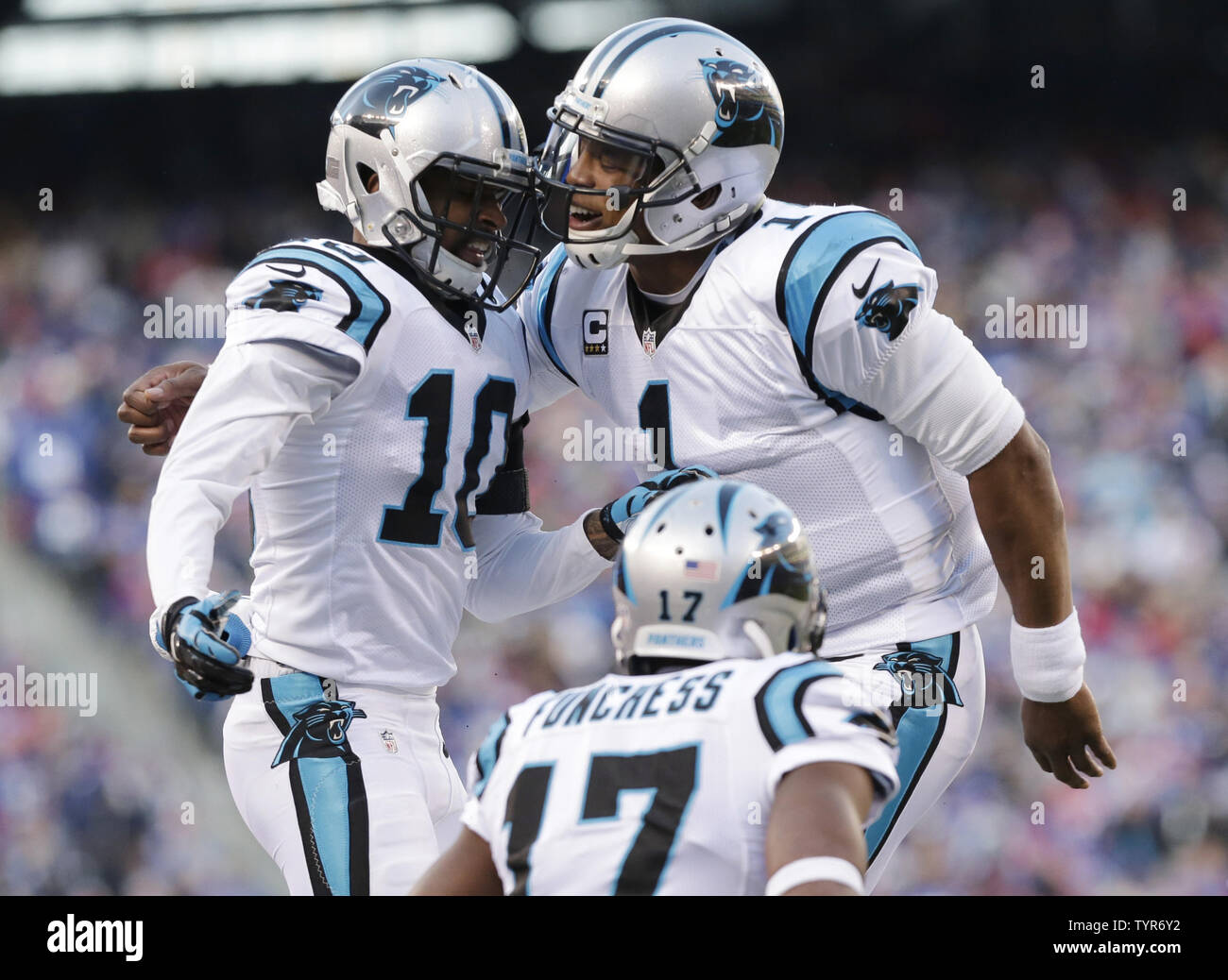 Cam brown giants hi-res stock photography and images - Alamy