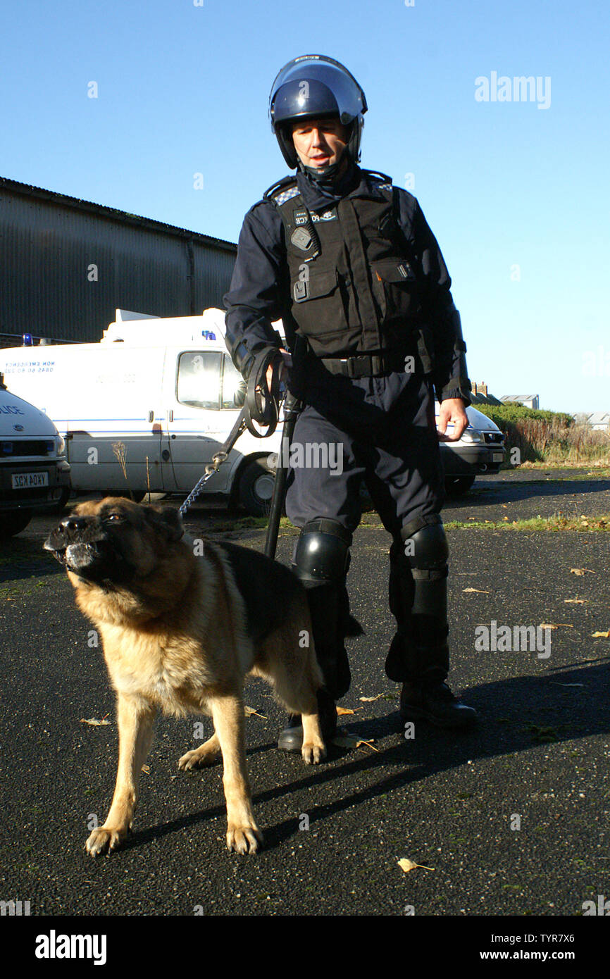 Are Police Dog Handler Police Officers