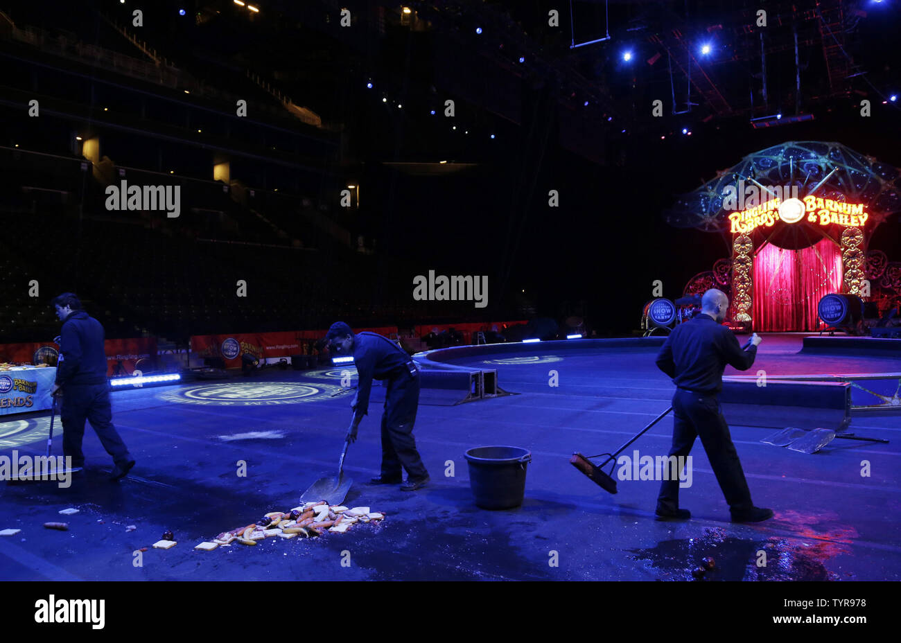 Men clean up after Asian elephants of Ringling Bros. and Barnum ...