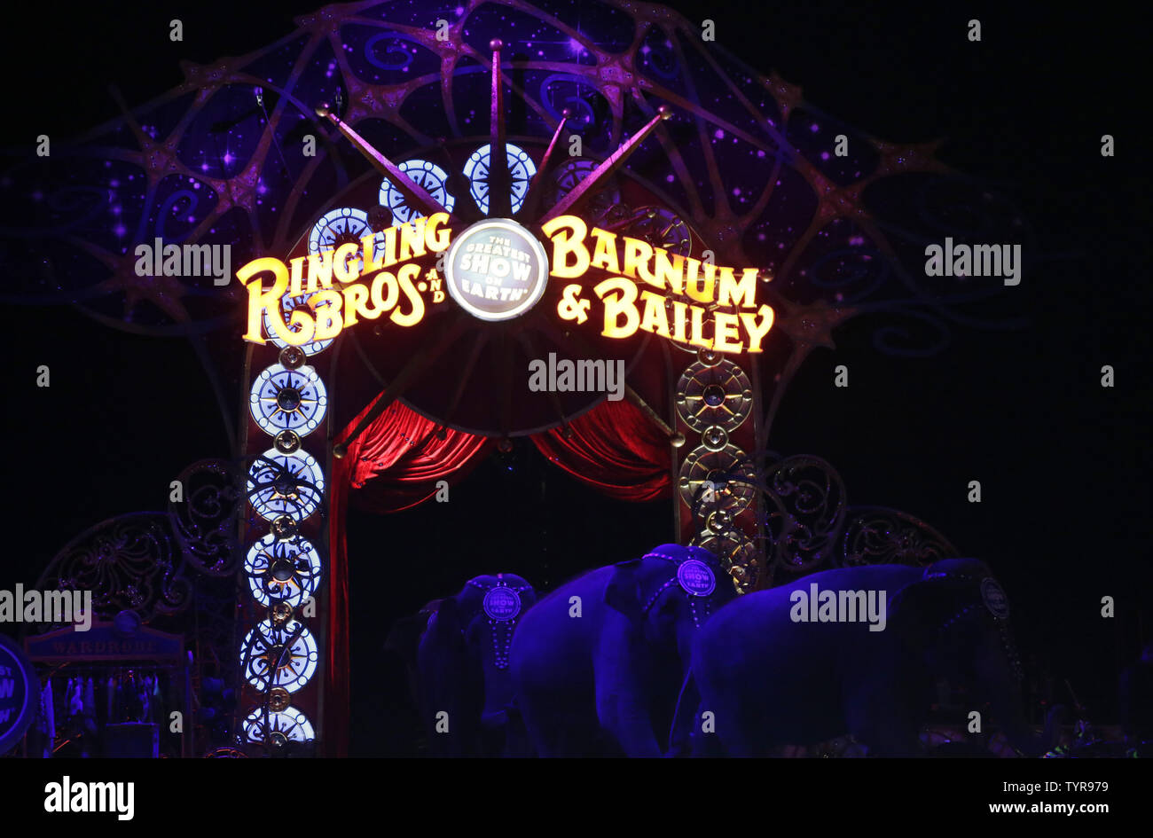 Asian elephants of Ringling Bros. and Barnum & Bailey Circus exit after ...