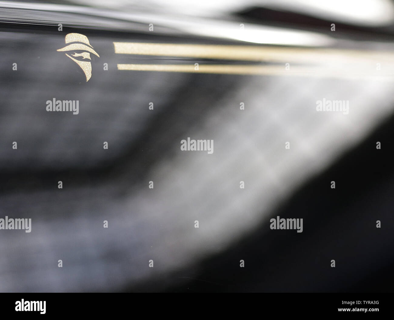 A pinstripe runs the length of the car of the Bandit Edition Trans Am ...