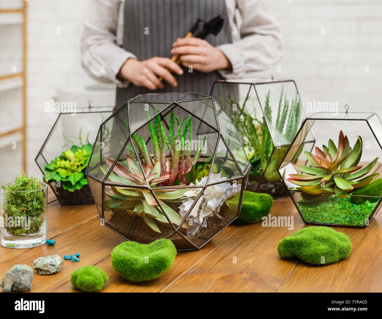 Choose your florarium vase. Professional florist concept Stock Photo ...