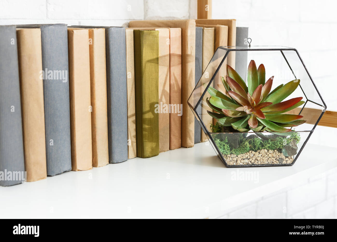 Florarium vase with plants on book shelf Stock Photo - Alamy