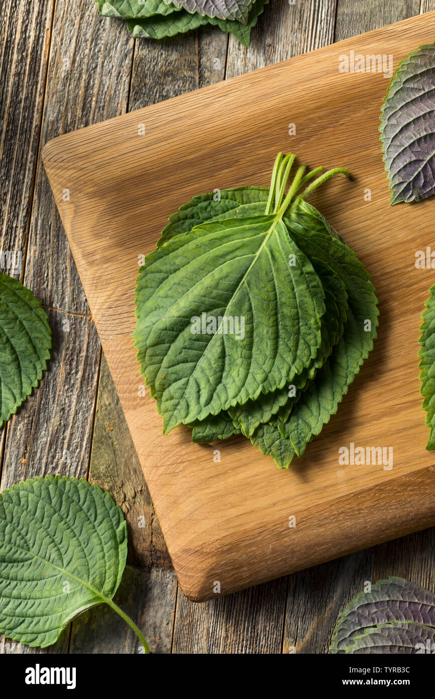 Sesame leaves hi-res stock photography and images - Alamy