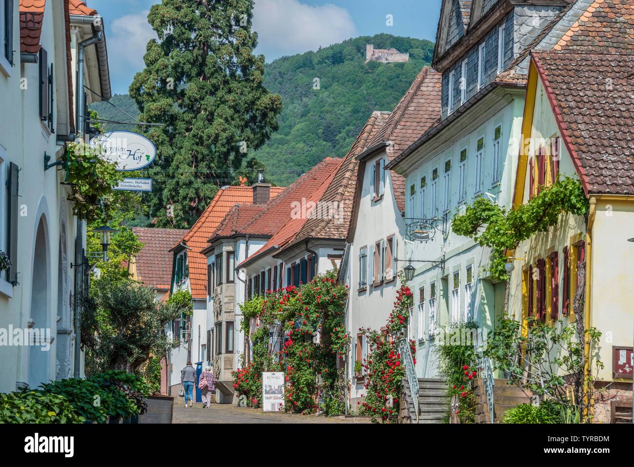 Rhodt, Rhineland-Palatinate, Germany. Rhodt at the foot of castle ...