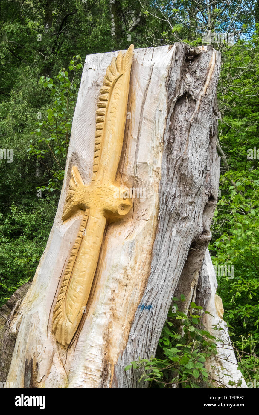 Wordsworth walk hi-res stock photography and images - Alamy