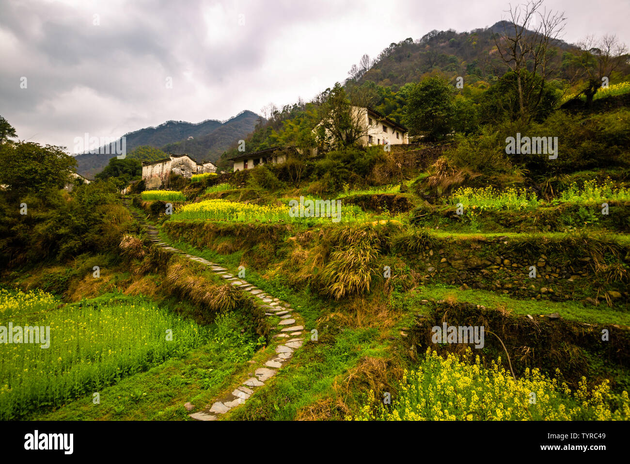 Shitai county hi-res stock photography and images - Alamy