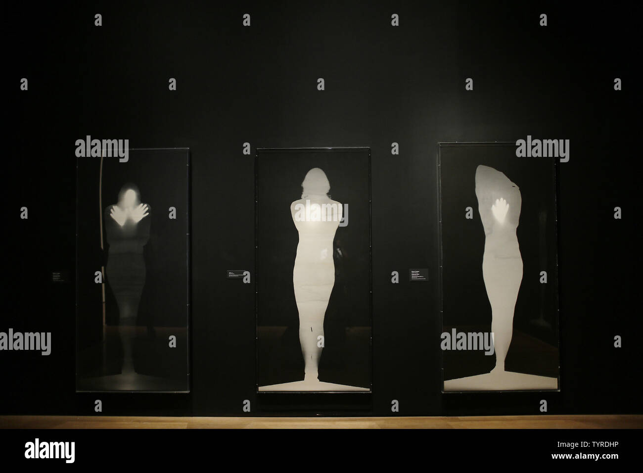 A set of large scale photograms titled Angels is on display at press ...