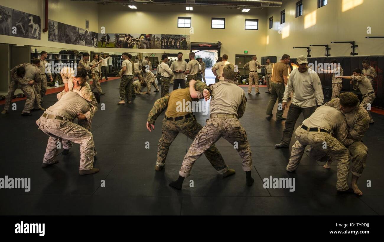 1st special recon battalion hi-res stock photography and images - Alamy