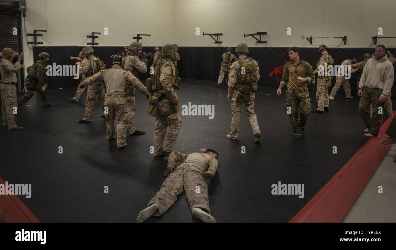 Marines with Company B, 1st Reconnaissance Battalion, 1st Marine ...