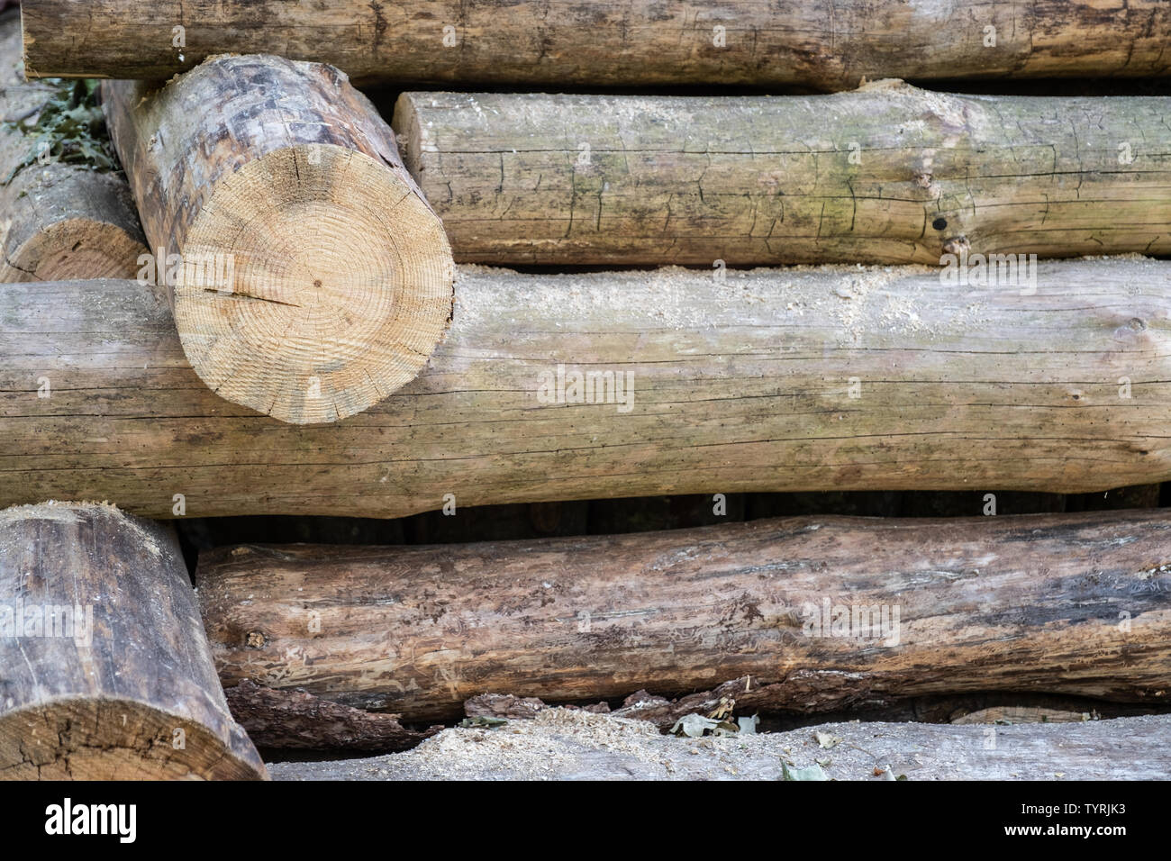 the wall of the log house, the wall of logs. Old wall Stock Photo - Alamy