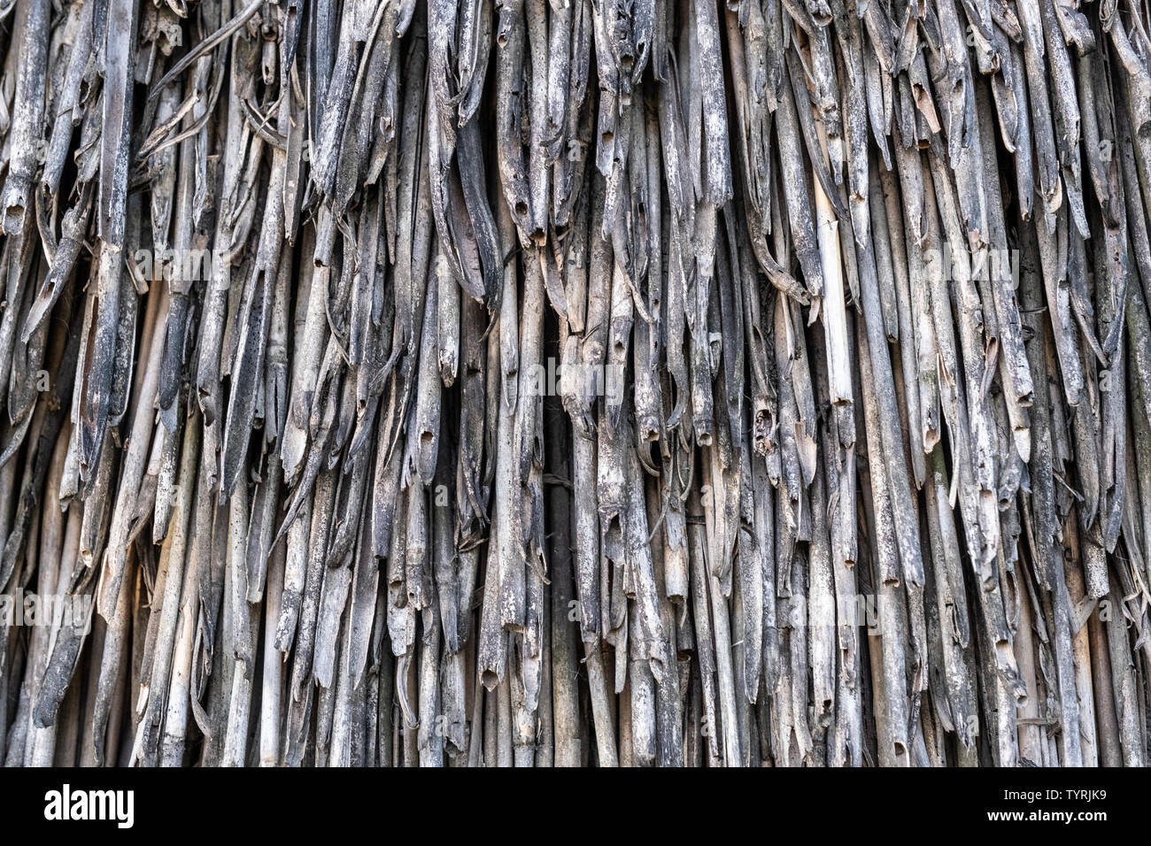 old roof with reed coating, top view. dry reed Stock Photo - Alamy