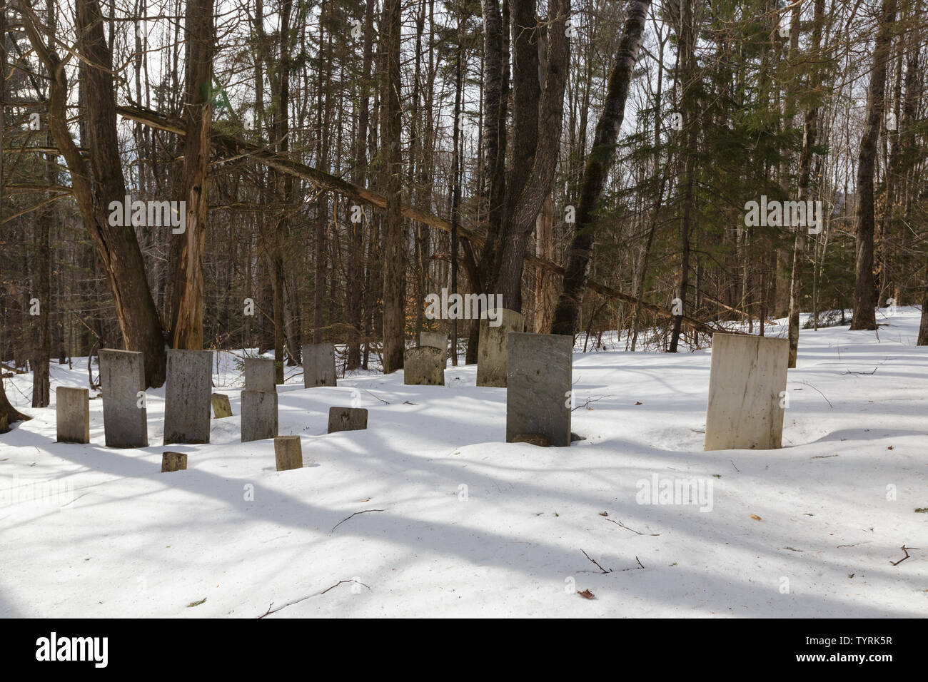 Site of the Gideon Ricker Farm at the abandoned Ricker Basin farming ...