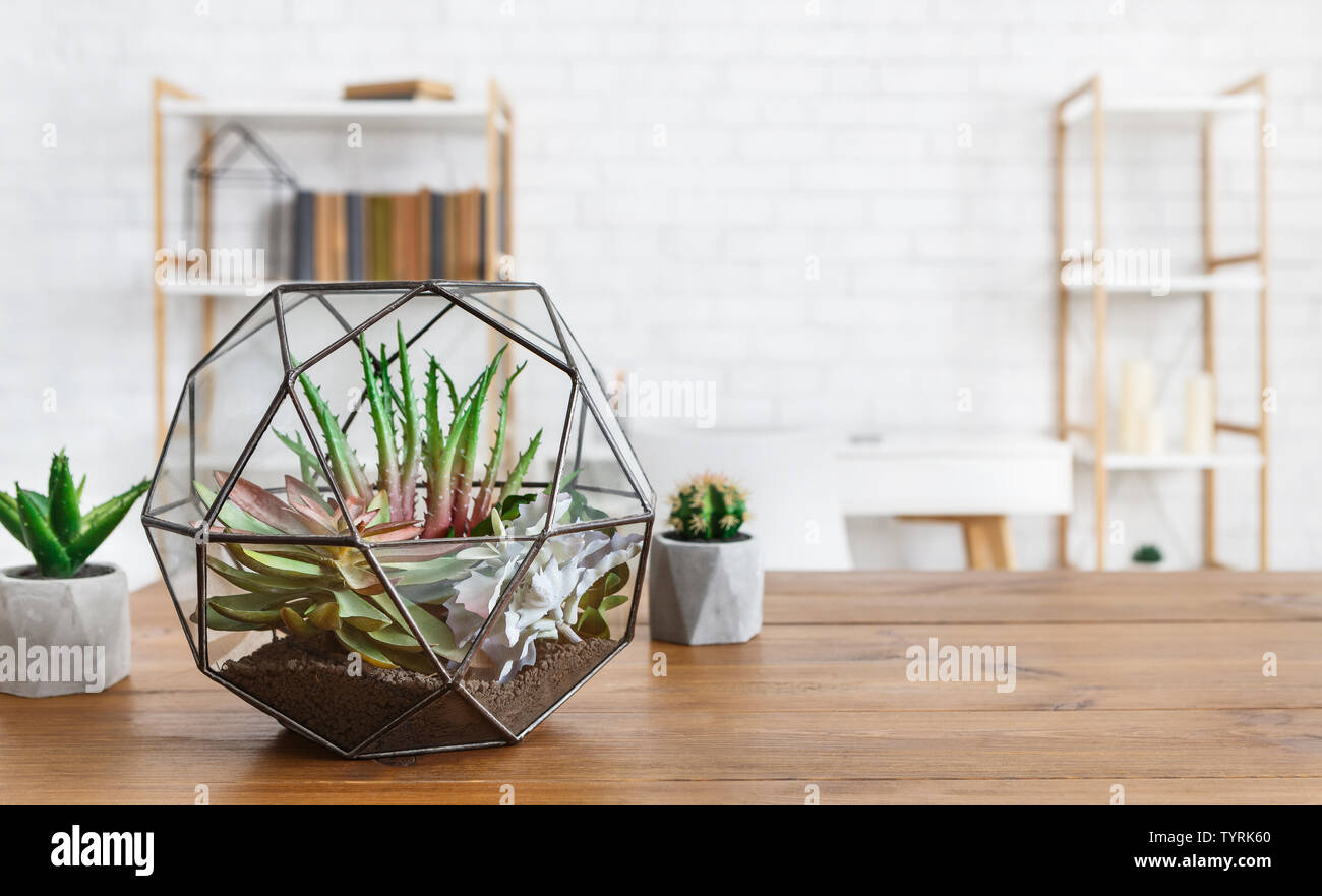 Indoor plants in pots and florarium vase . House plants in interior ...
