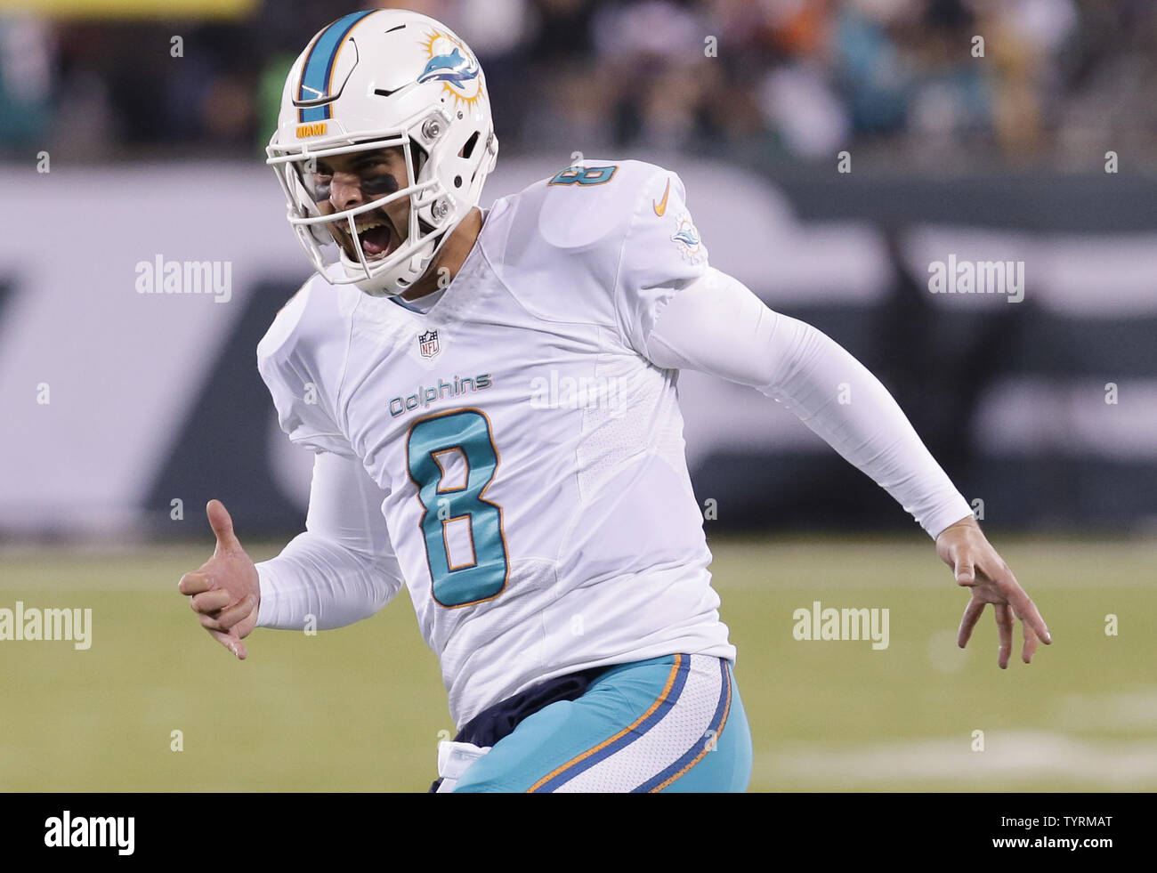 Miami Dolphins Matt Moore celebrates after throwing a 66 yard touchdown ...