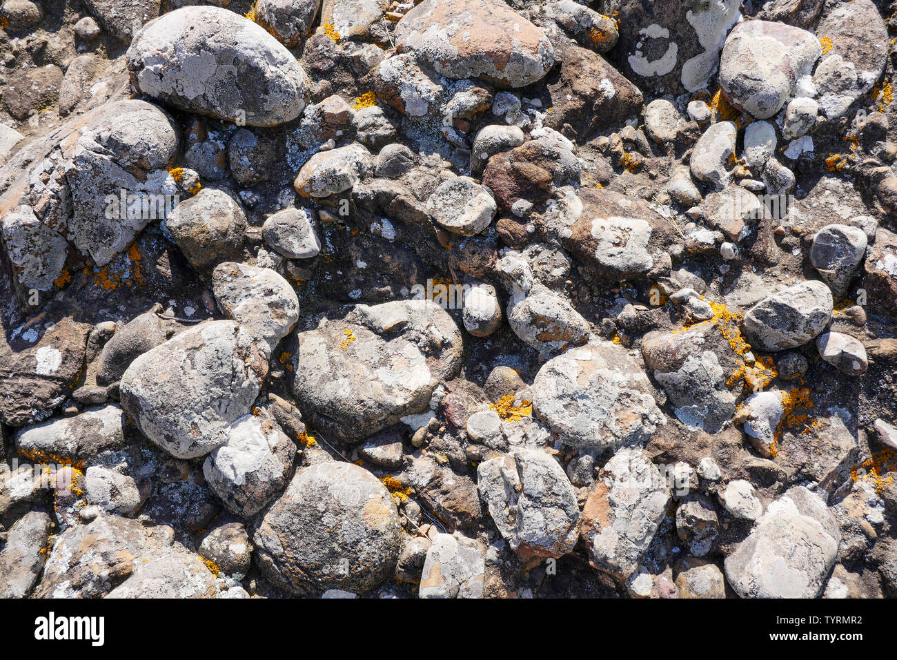 Puddingstone hi-res stock photography and images - Alamy