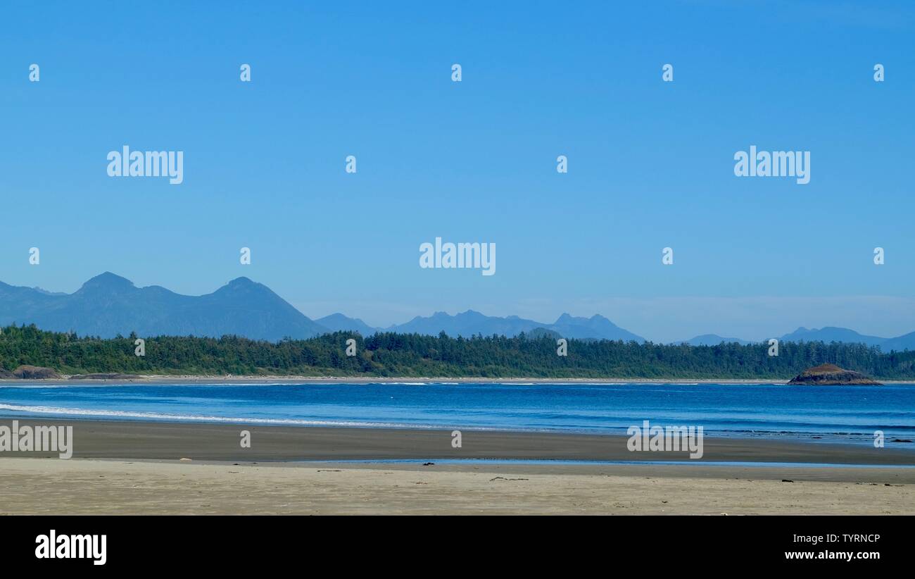 Long beach pacific rim hi-res stock photography and images - Alamy