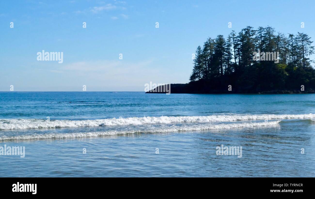 Long beach pacific rim hi-res stock photography and images - Alamy