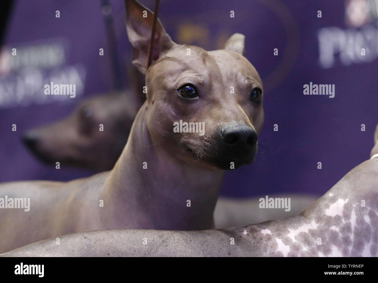 30 msg hi-res stock photography and images - Alamy