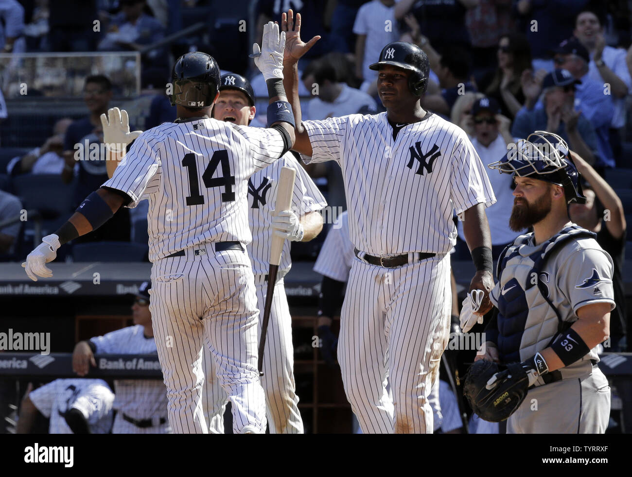 New York Yankees batter Starlin Castro (14) is welcomed at the plate by ...