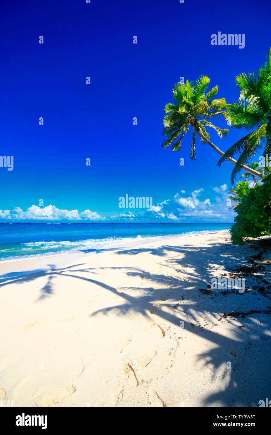 Tropical Island with a paradise beach and palm trees, Fiji Islands ...