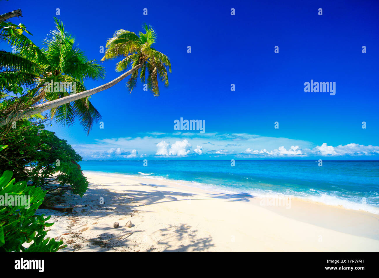 Tropical Island with a paradise beach and palm trees, Fiji Islands ...