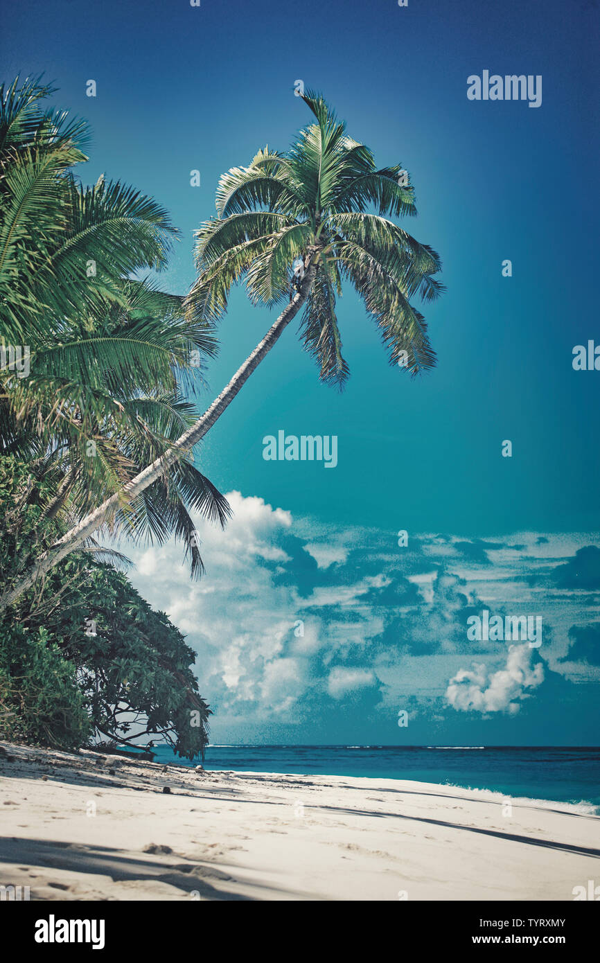 Tropical Island with a paradise beach and palm trees, Fiji Islands ...