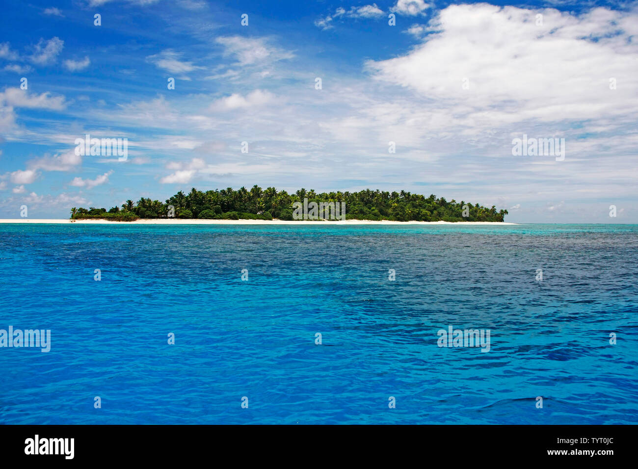 Tropical Island with a paradise beach and palm trees, Fiji Islands ...