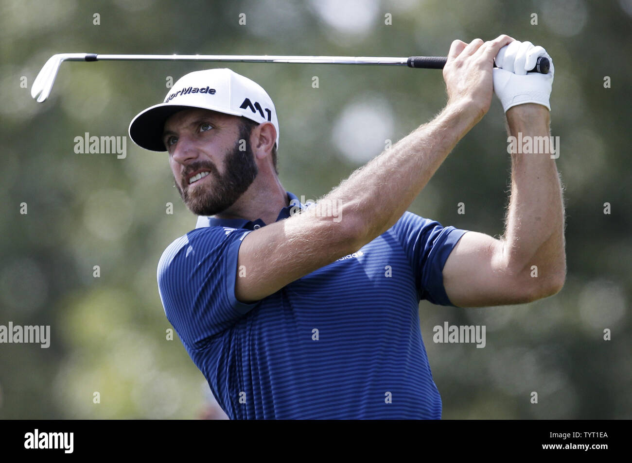 Old westbury golf hi-res stock photography and images - Alamy