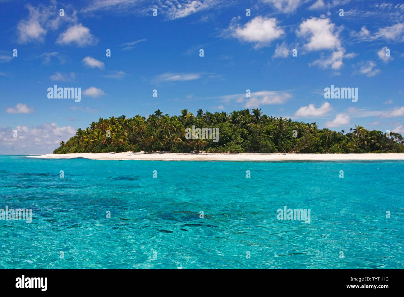 Tropical Island with a paradise beach and palm trees, Fiji Islands ...