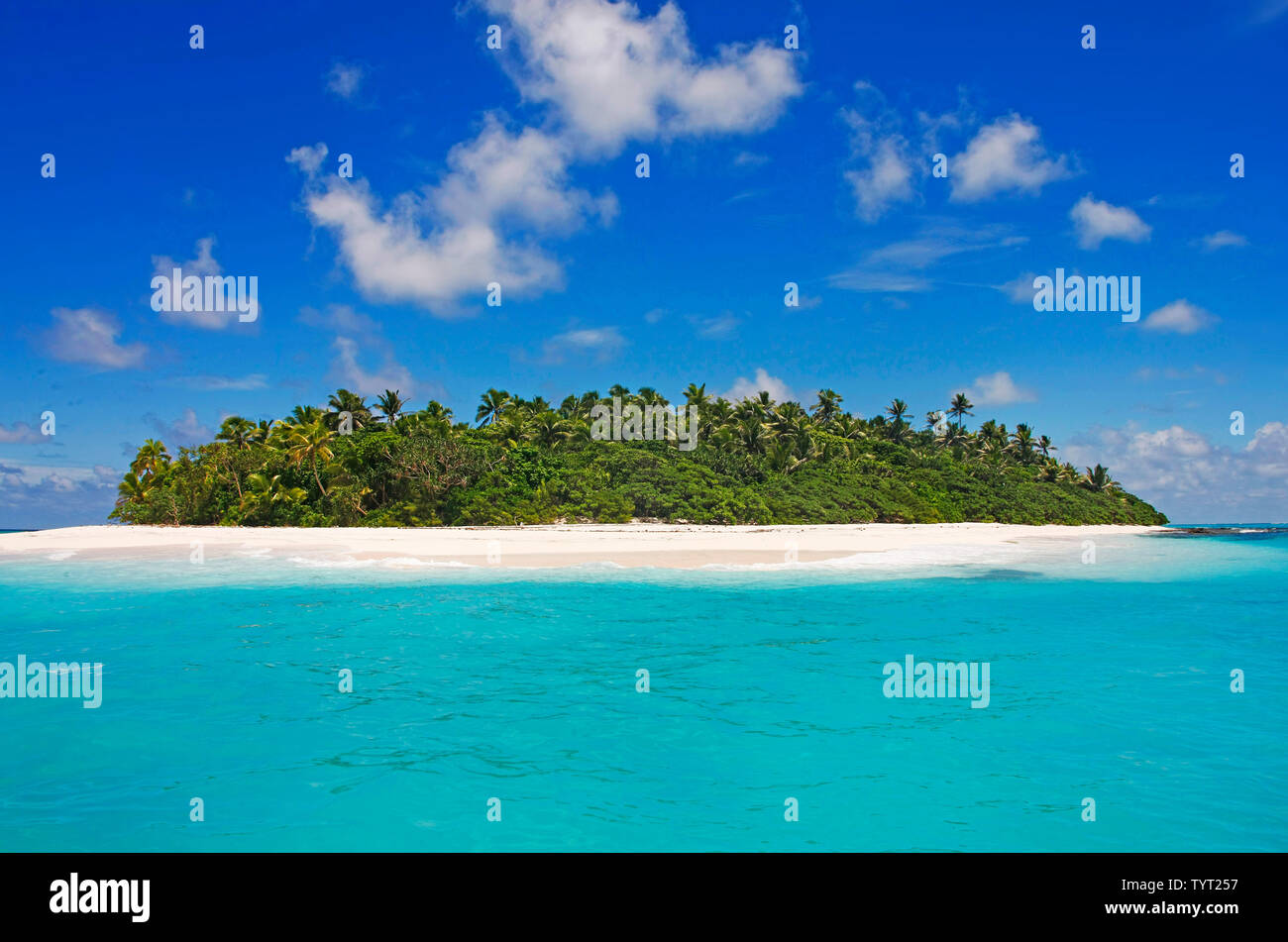 Tropical Island with a paradise beach and palm trees, Fiji Islands ...