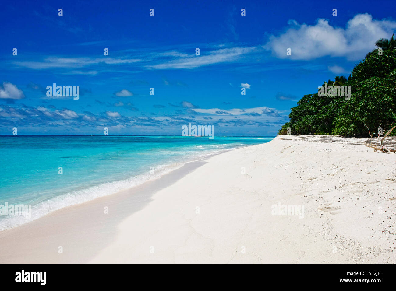 Tropical Island with a paradise beach and palm trees, Fiji Islands ...