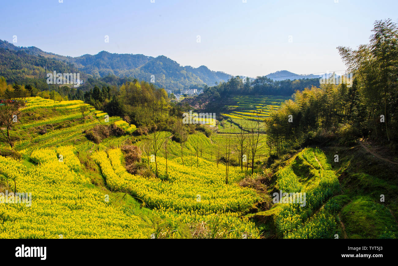 Lingshan village hi-res stock photography and images - Alamy