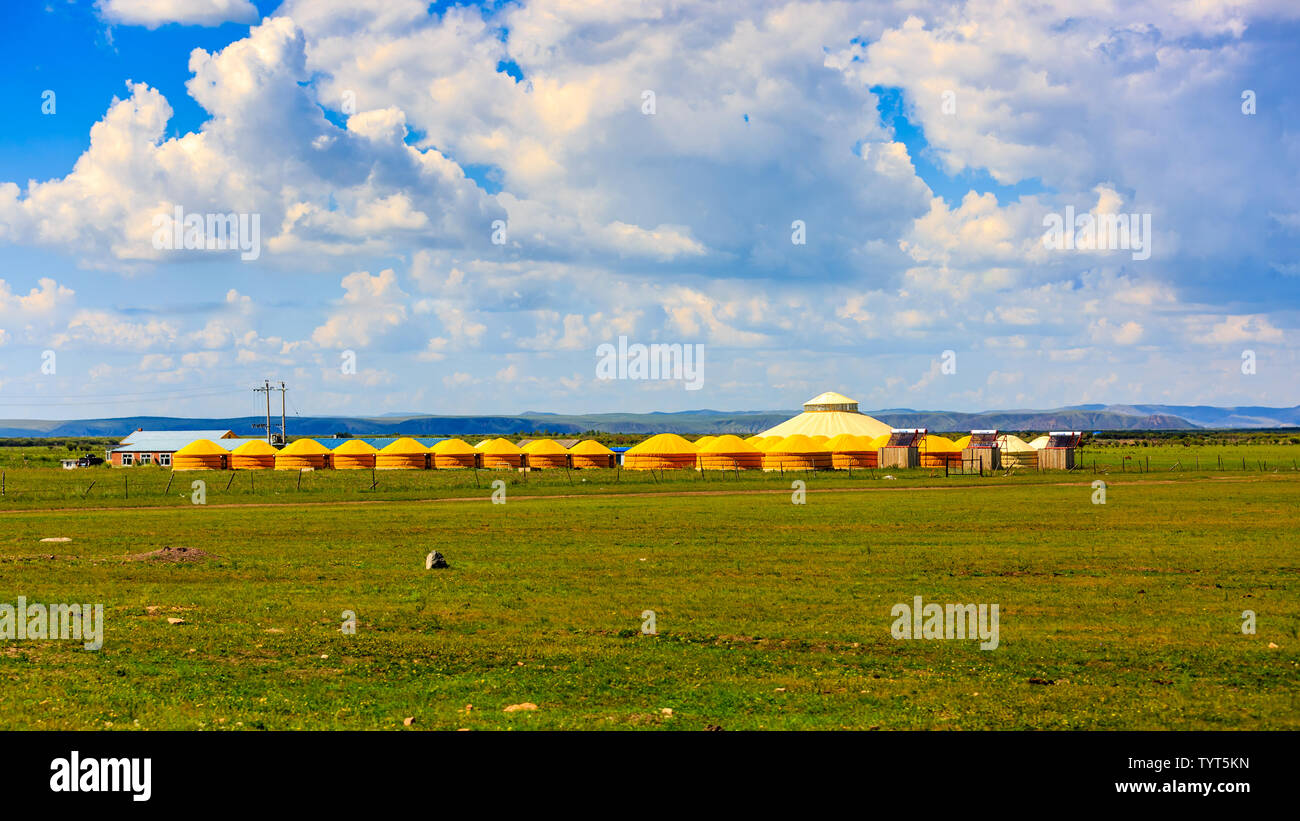 Summer in Hulunbuir Prairie, Inner Mongolia Stock Photo - Alamy