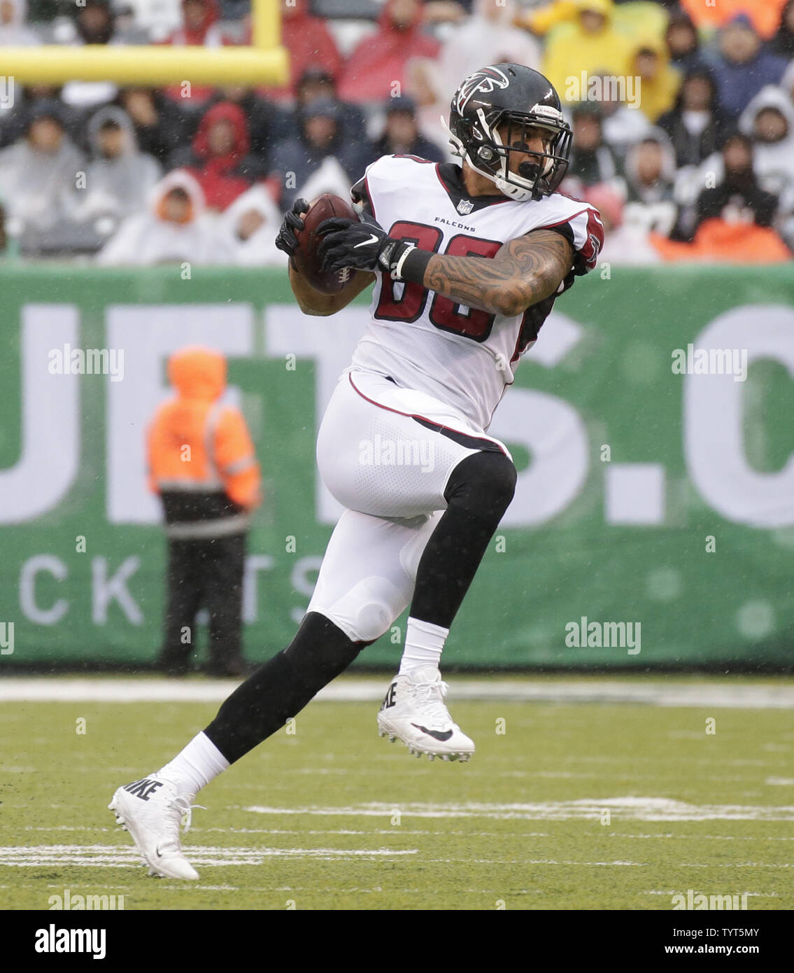 Levine Toilolo Atlanta Falcons