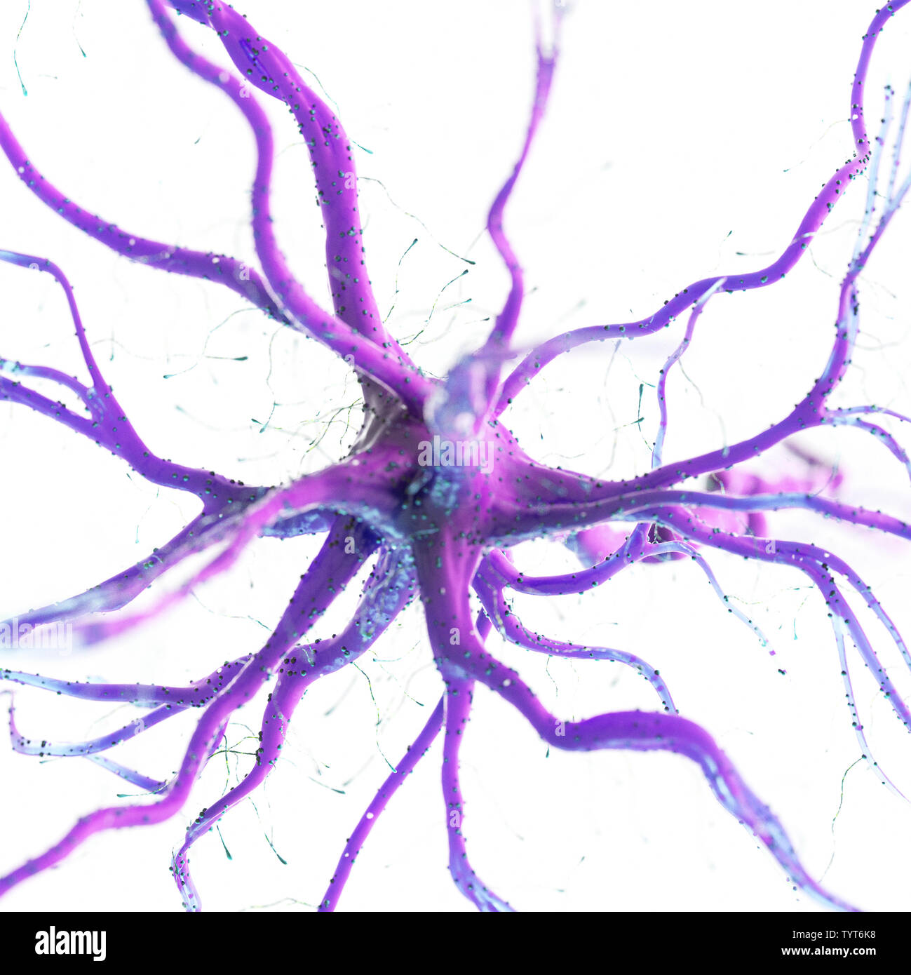 Human nerve cell hi-res stock photography and images - Alamy