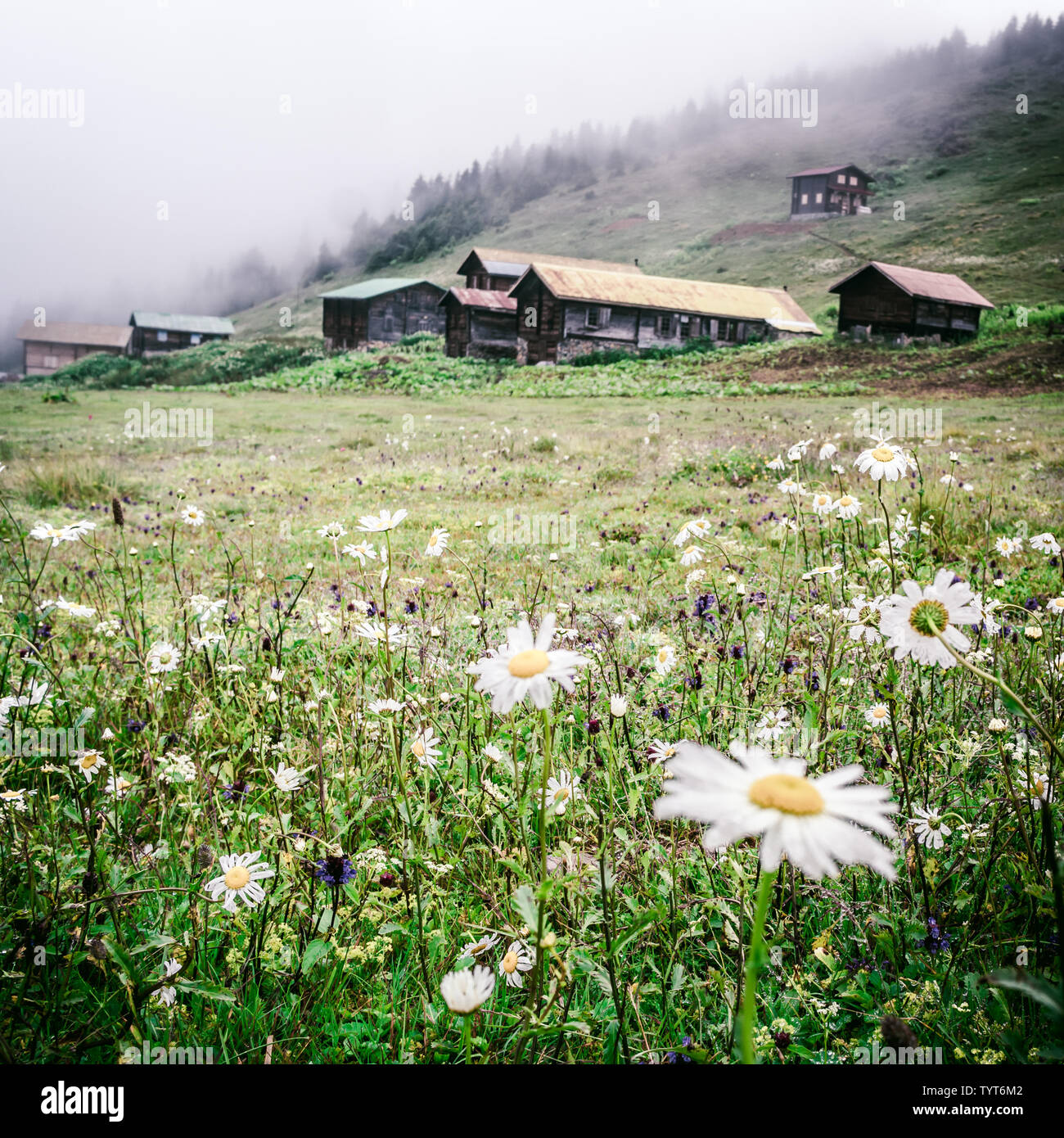 Village farm hi-res stock photography and images - Alamy