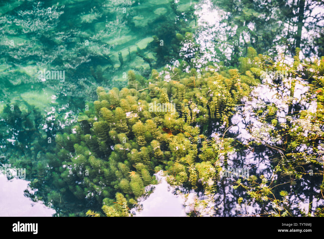 Scenery of Jiufeng Yaochi, Jiufengshan, Xiaojiuzhai, Chongqing Stock ...