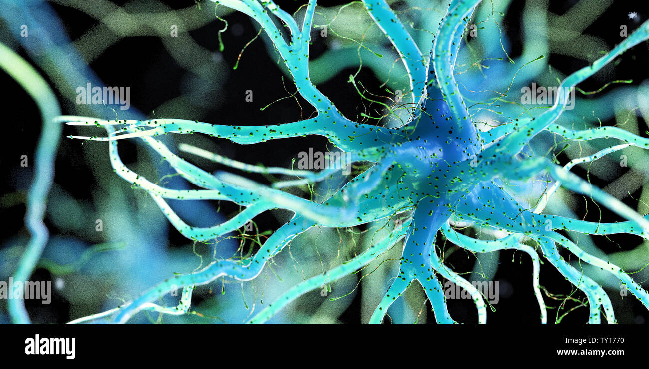 3d rendered illustration of a human nerve cell Stock Photo - Alamy